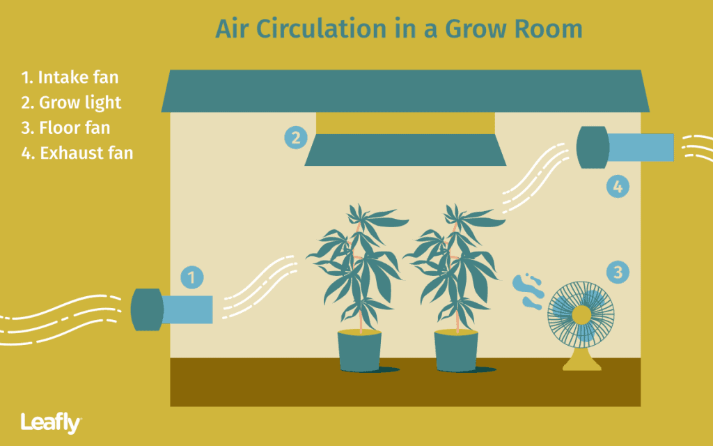 Grow tent setup guide: How to build the best indoor growing