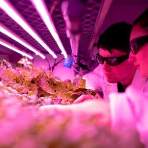 Grow tent setup guide: How to build the best indoor growing