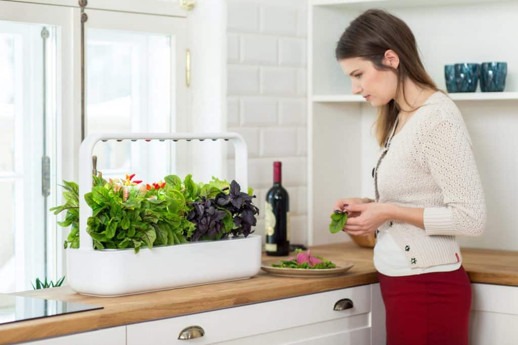 The 8 Best Smart Indoor Garden Kits For Vegetables [2023]