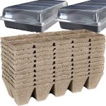 Get Your Green Thumb on with Planting in Peat Pots - Tips & Tricks