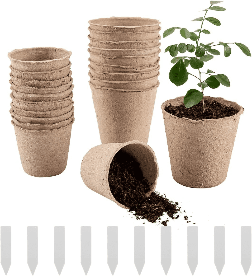 Everything You Need To Know About Planting In Peat Pots [2022]