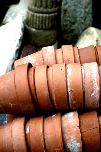 How to Get Rid of Mold on Pots: An Easy Step-by-Step Guide