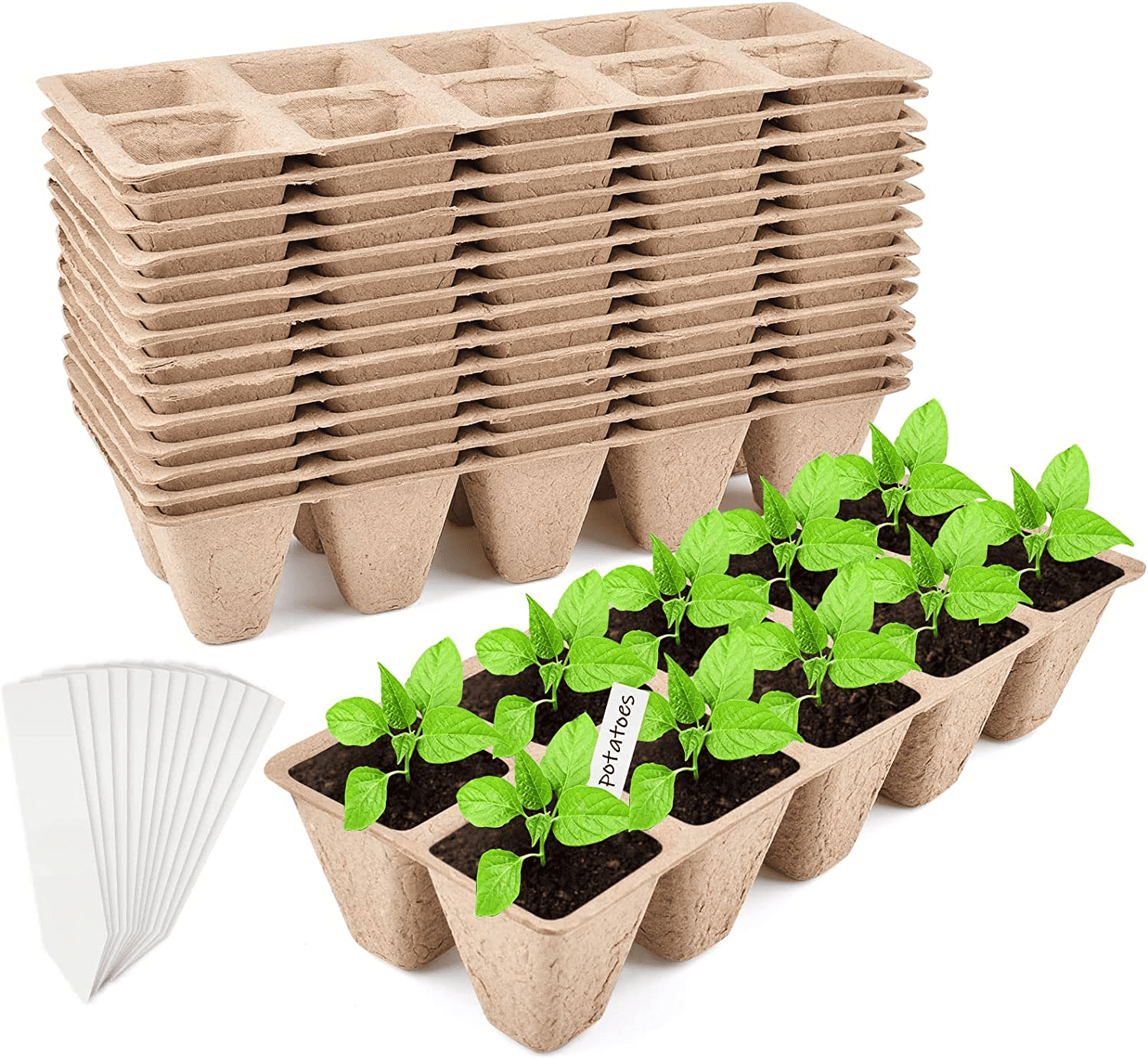 Get Your Green Thumb on with Planting in Peat Pots - Tips & Tricks