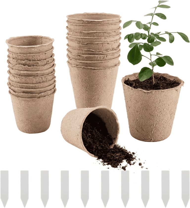 Get Your Green Thumb on with Planting in Peat Pots - Tips & Tricks